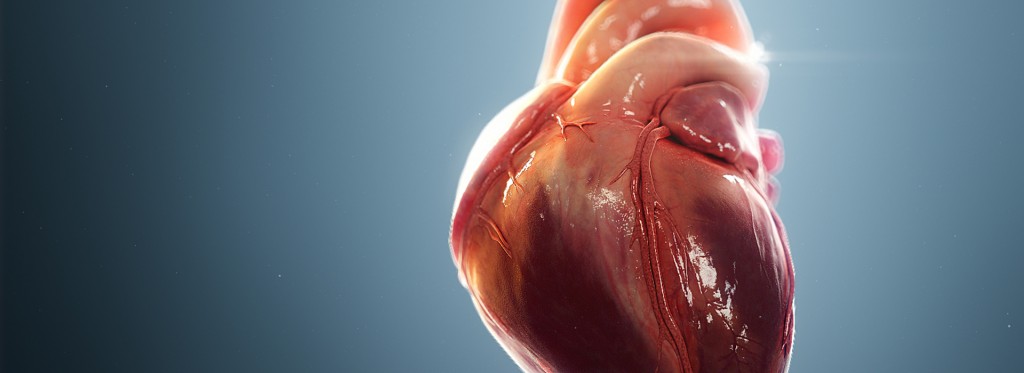 Animated HeartModel - Philips Healthcare